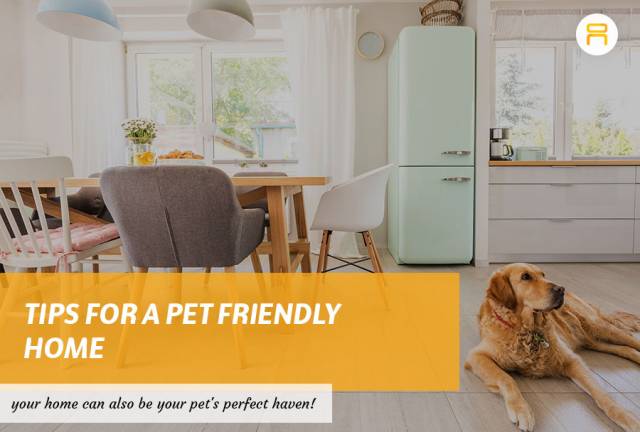 Tips for A Pet Friendly Home - Urban Concepts