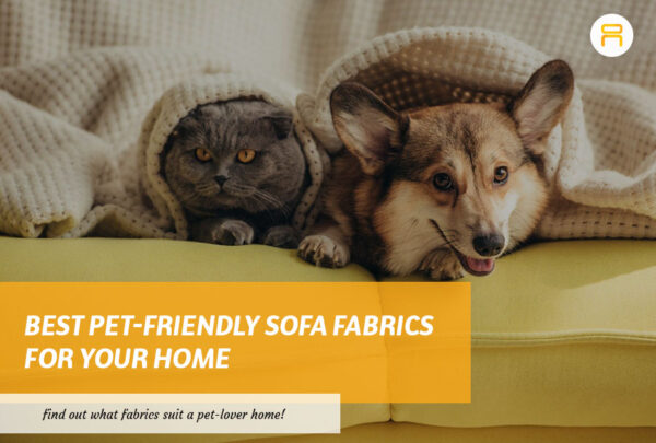 4 Best Pet-Friendly Sofa Fabrics for Your Home - Urban Concepts